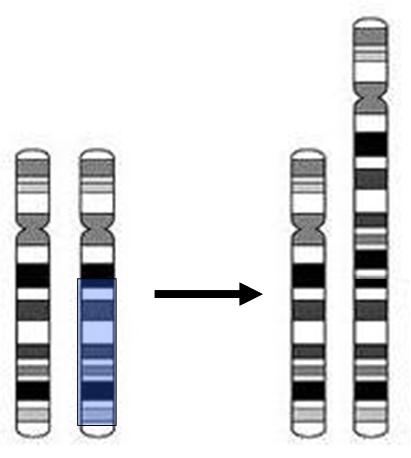 Other Conditions - Chromosome 18